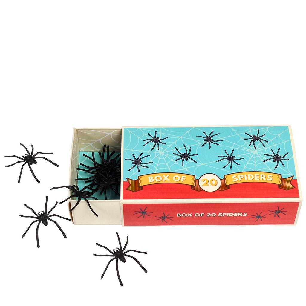 Box of 20 Spiders – Boxfetti.ae